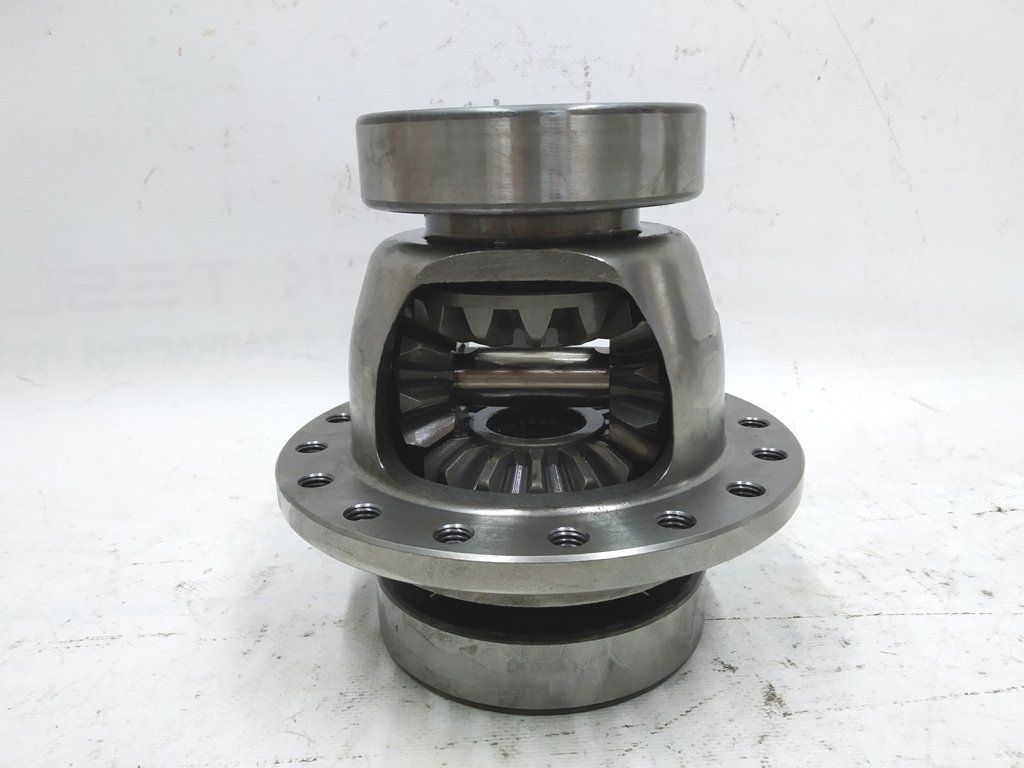 1 Differential assembly with lower and upper bearing (traces of wear ...